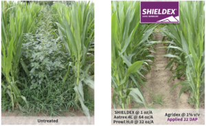 SHIELDEX - SummitAgro USA